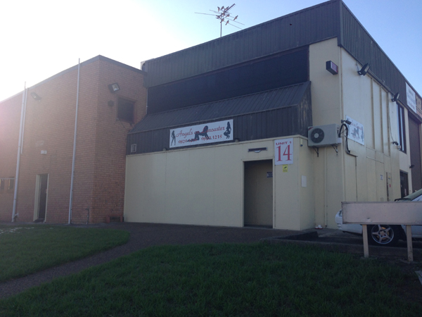 Ingleburn Angels - 008.com.au 澳洲华商网.悉尼站